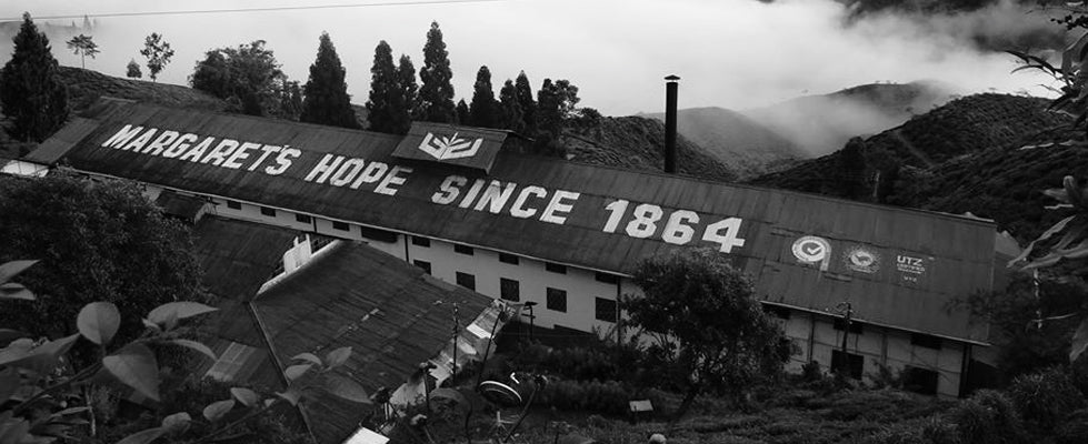 Margarets Hope Tea Estate Darjeeling A Father’s Love For His Daughter.