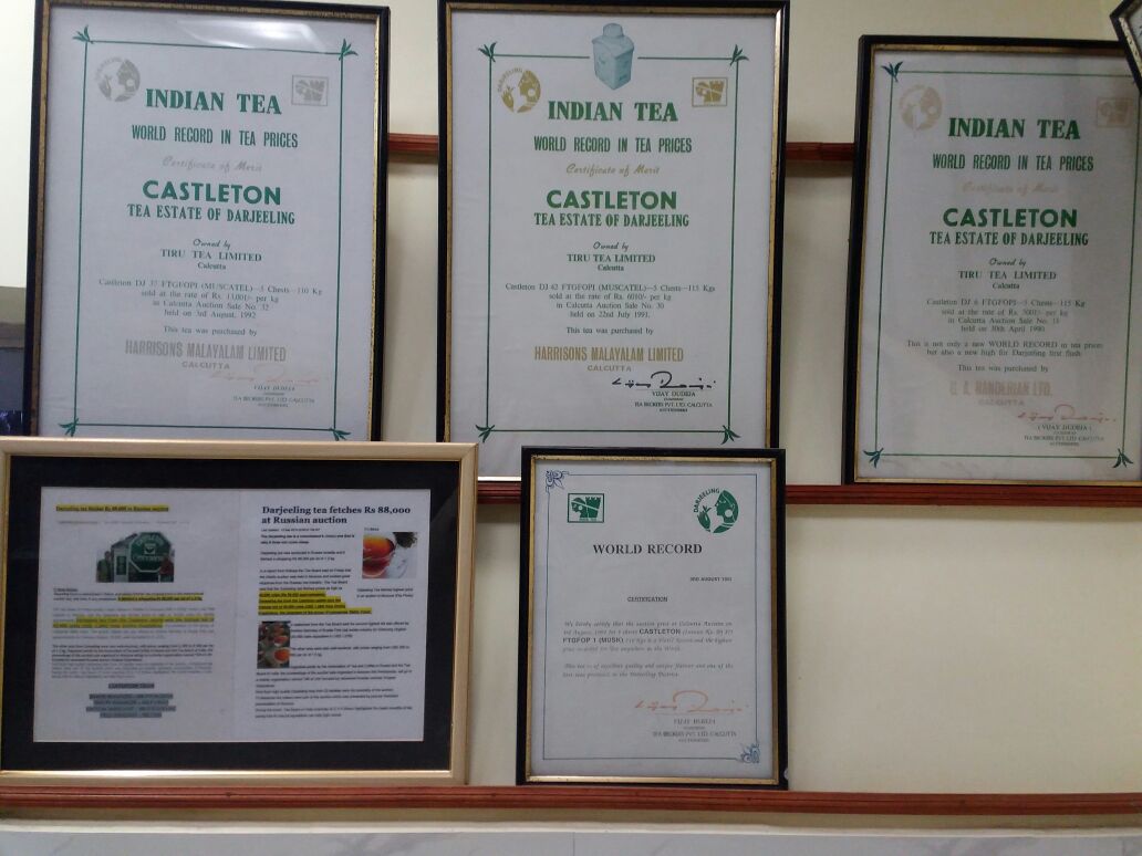 Castleton Tea Estate, Goodricke, Darjeeling Tea- Teacupsfull