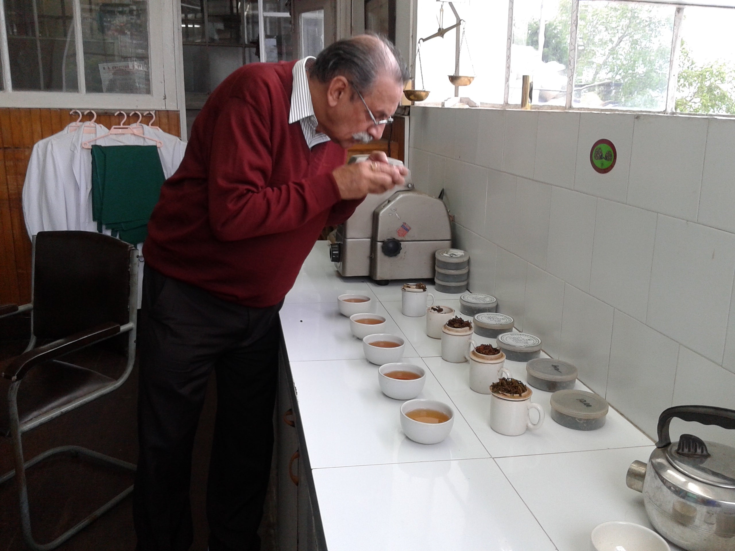 Different Types of Tea - Learn from the Experts - Teacupsfull