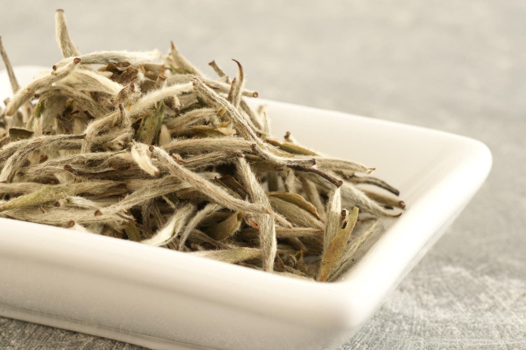 White Tea: Understanding Its Benefits, Taste, and Uses: Teacupsfull